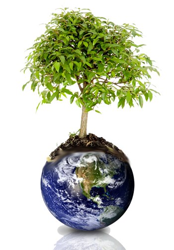 Green Living: Your Checklist Creating an Environmentally Friendly Home